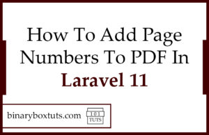 How To Add Page Numbers To PDF In Laravel 11 - Binarybox Tutorials